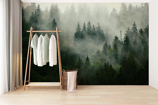 Welcome Forest to Your Home: Make Your Home Fresher with 8 Misty Fores