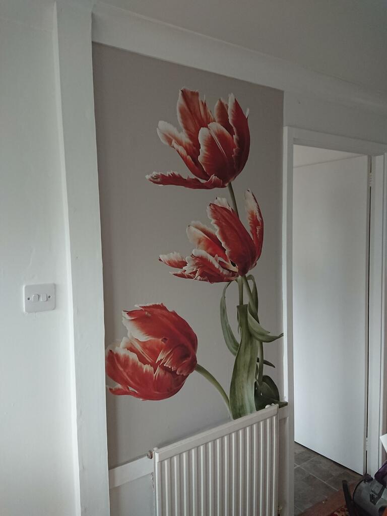 Wallpaper Customer Photos | Ever Wallpaper UK